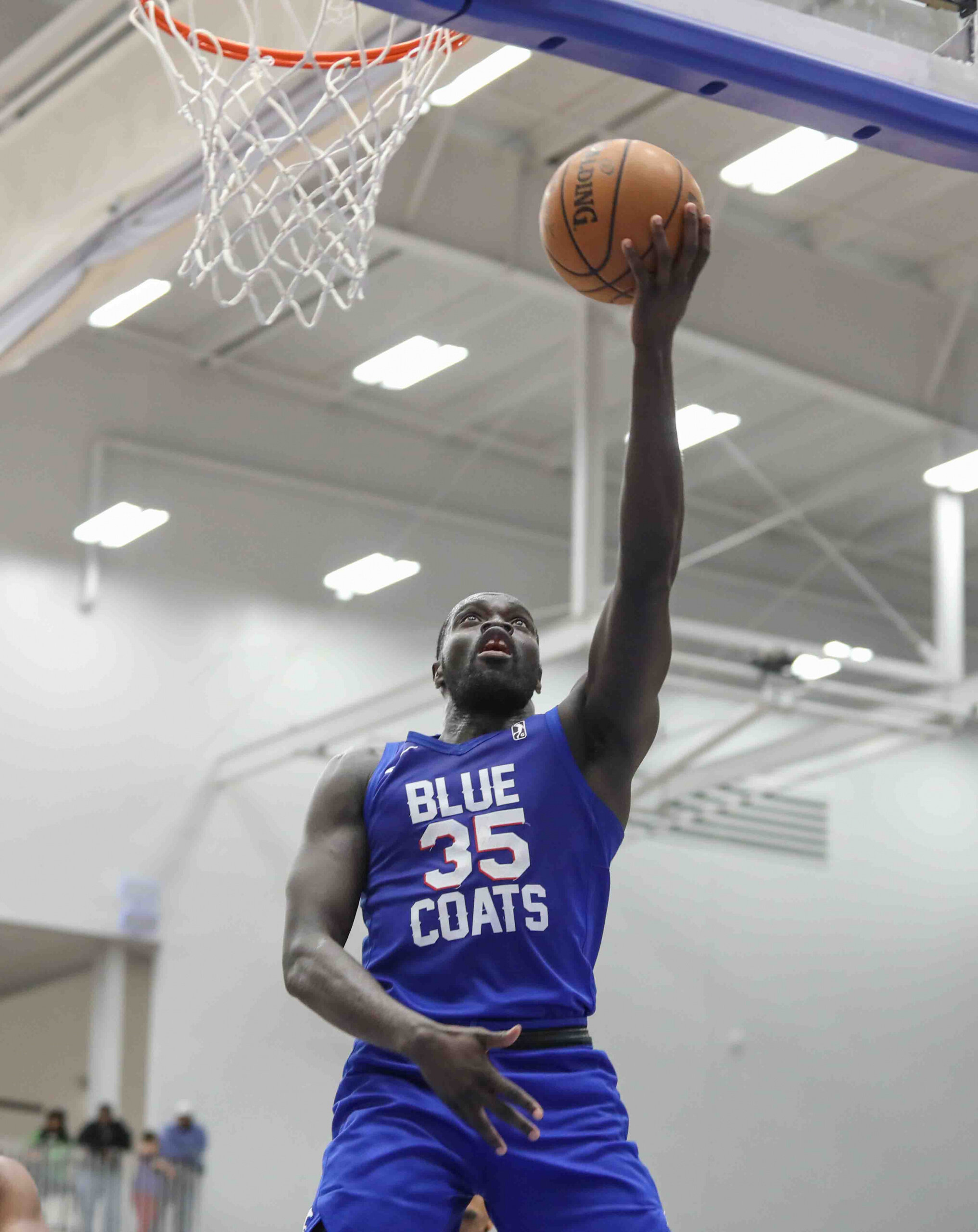 MARIAL SHAYOK NAMED TO EASTERN CONFERENCE MIDSEASON ALL-NBA G LEAGUE ...